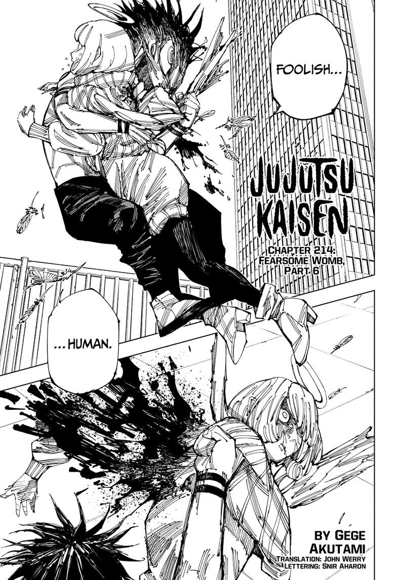 Jujutsu Kaisen Chapter 214 Recap: Yuji’s Final Stand & Megumi’s Mourning